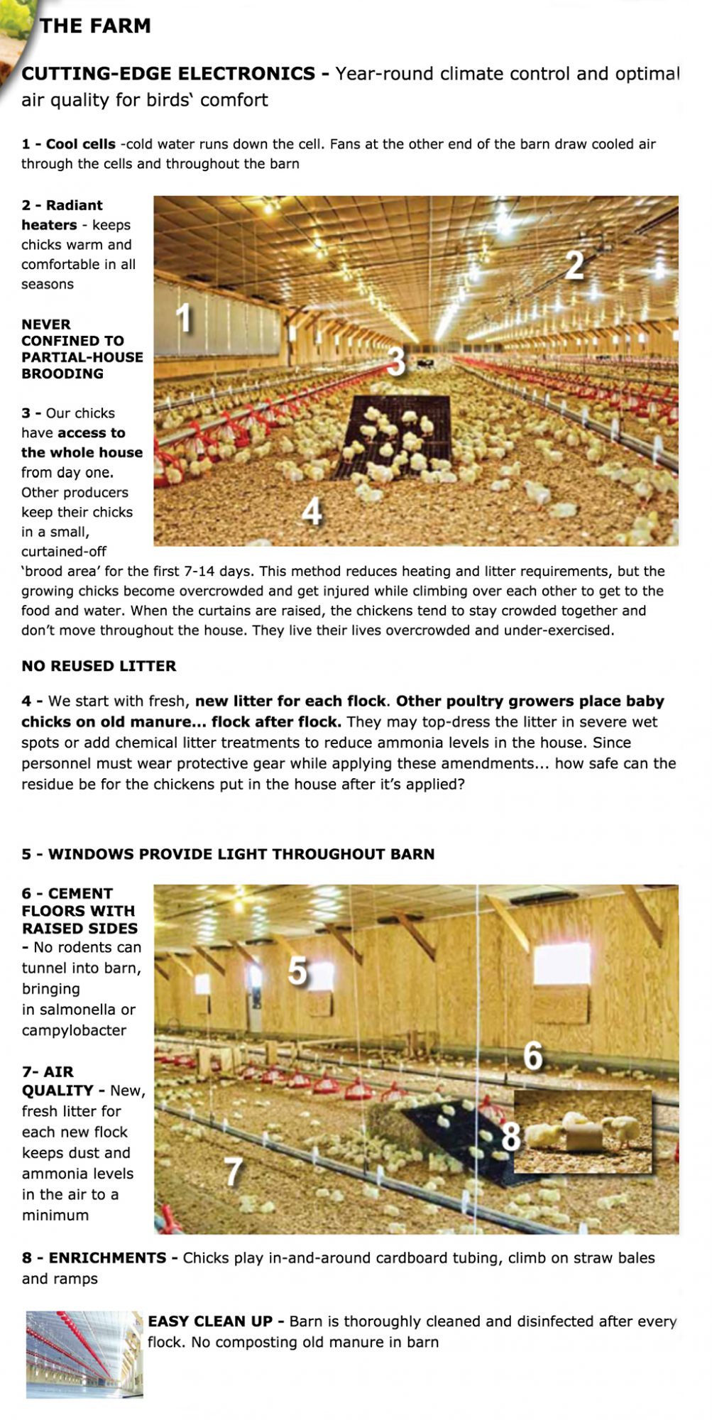 An Open Letter to Peter Singer – Animal Liberation Currents